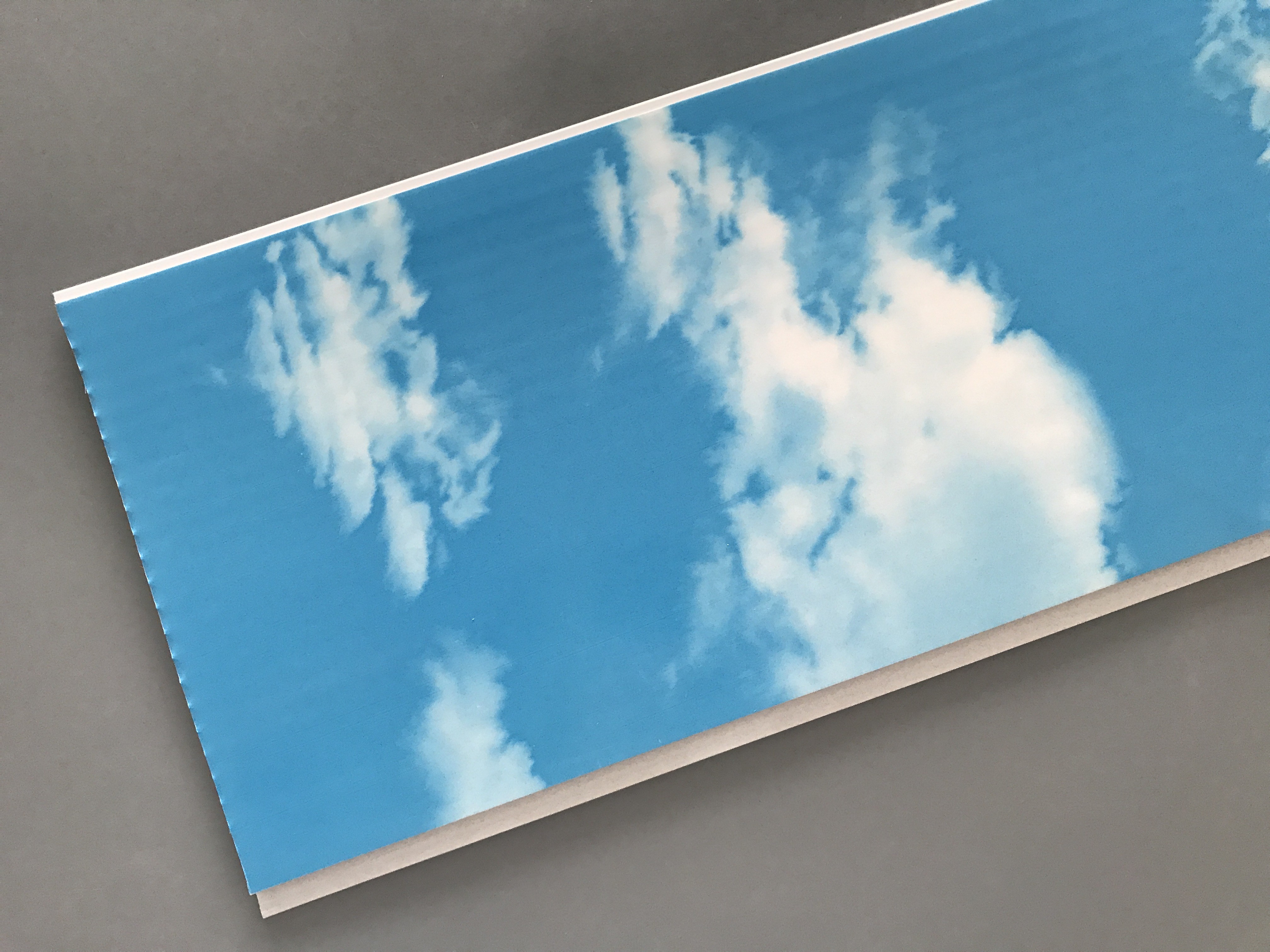 Hot Stamping 250 × 7mm Plafond PVC Panelen Met Blauwe Lucht En Witte ...